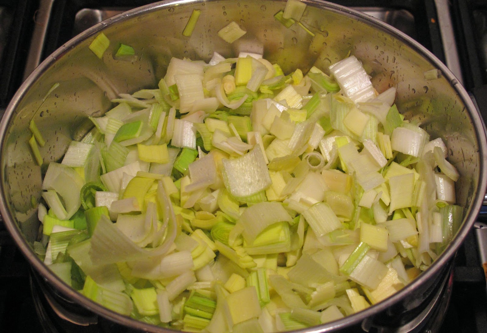 chocolatelikesnow: Winter Leek Soup