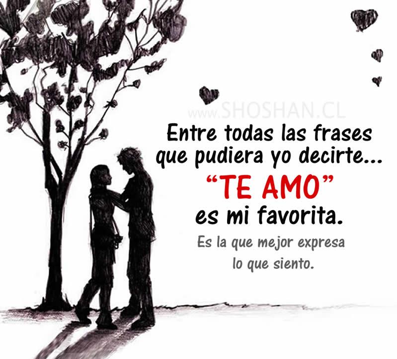 Imágenes de Amor Para Enamorar: Te Amo Significa Que No Espero La ...