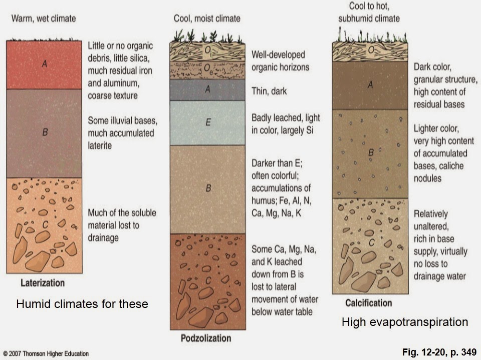 College Study Guides: Soils, how and why do they vary so widely by ...