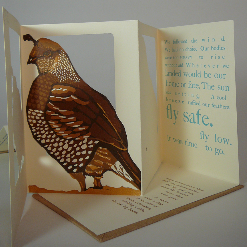 Birds of the Bible: Quail