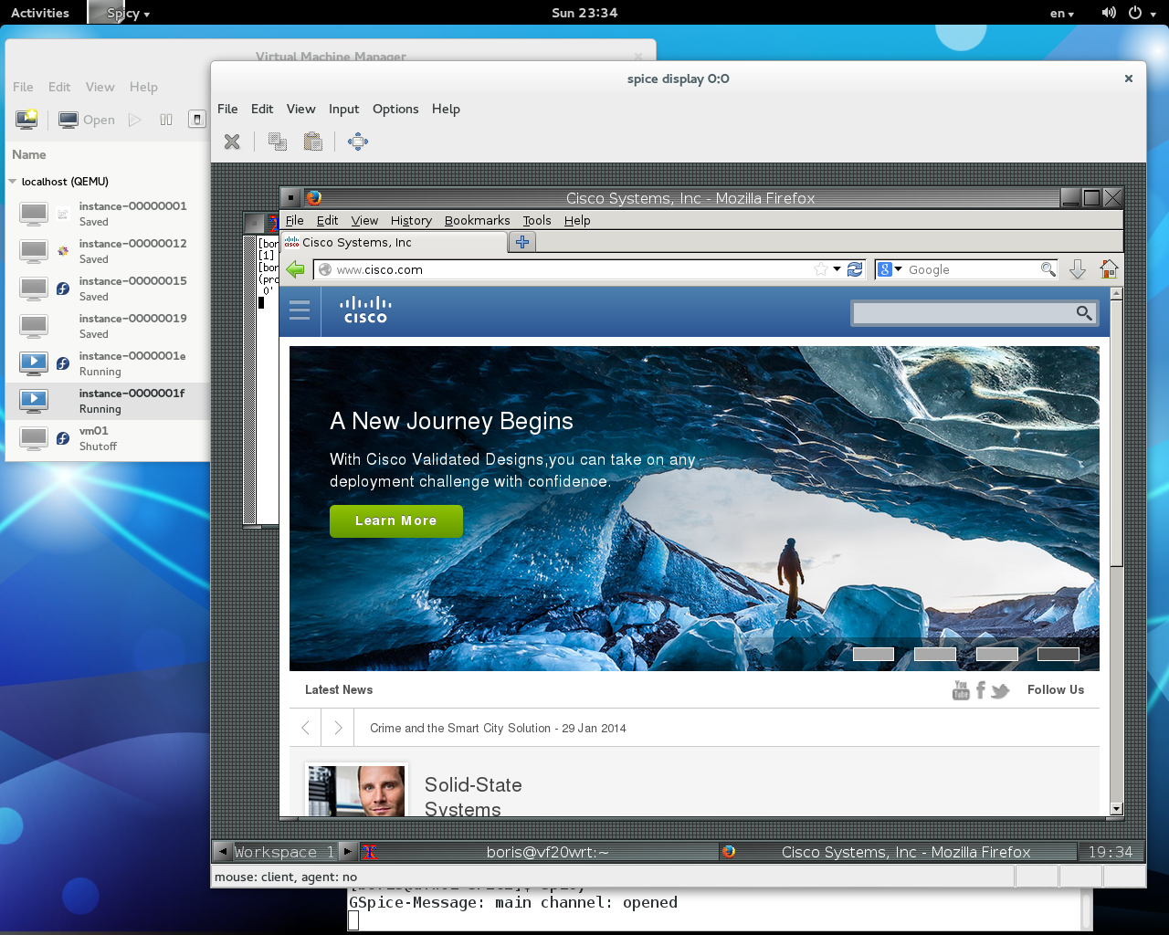 Setup Light Weight X Windows environment on Fedora 20 Cloud instance ...