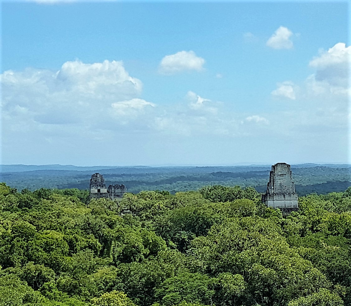 mexpatriate — in the key of steve: star wars with the maya