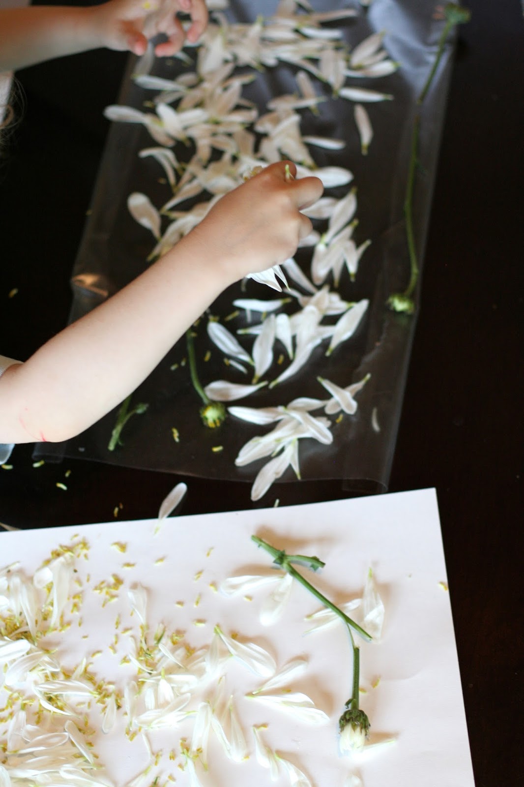 Flower Science Experiment for Kids: DIY Glowing Flowers