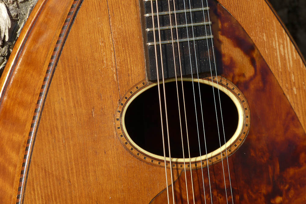 c.1923 Weymann Style 30 Mandolute Mandolin