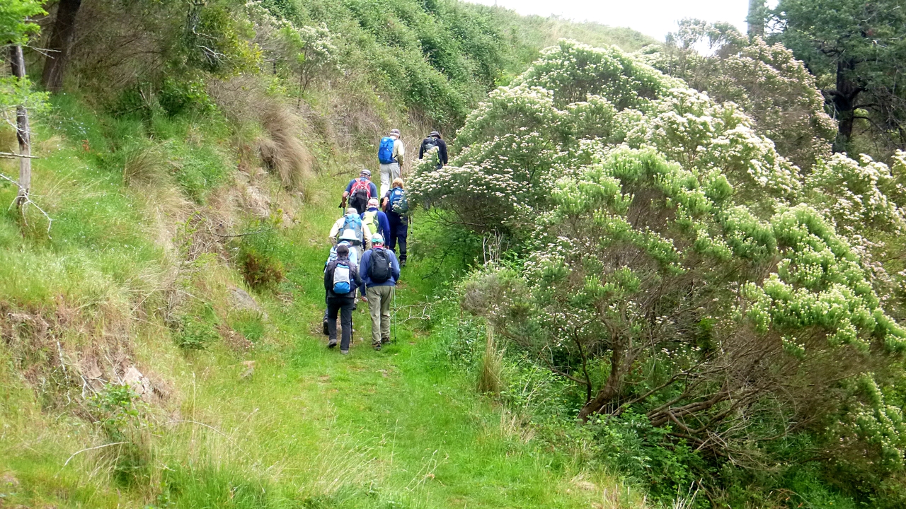 Ramblings: Nierinna Creek Tramway Hill Margate Rivulet 2015