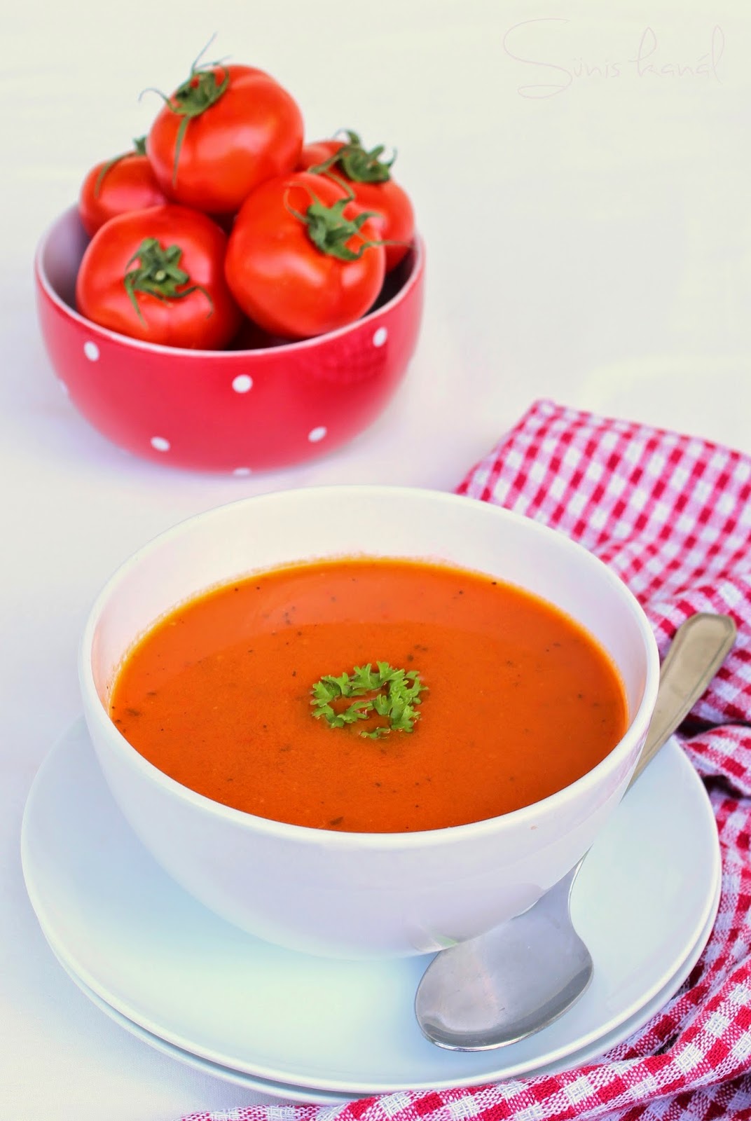 Sünis kanál: Paradicsomleves