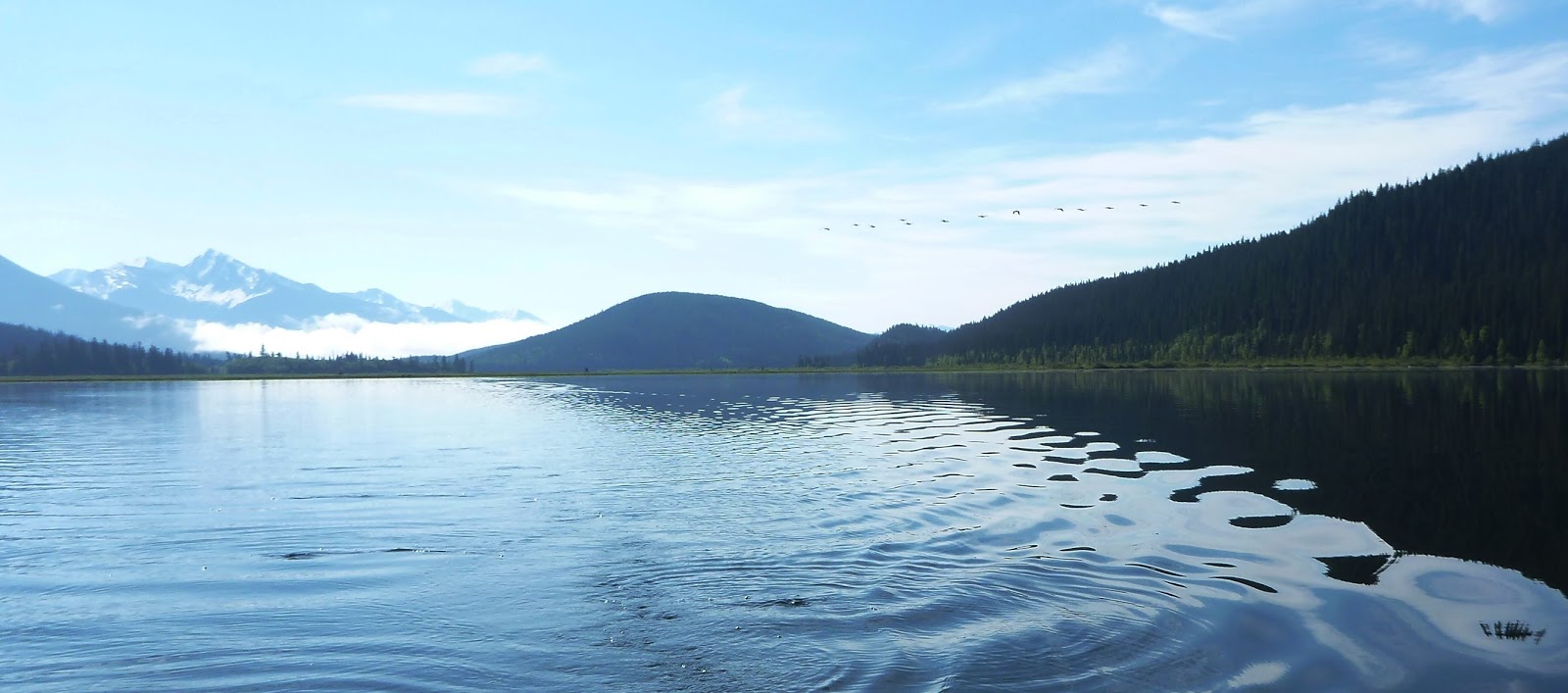 Beyond the Skyline: Bowron Lakes Chain: Am I a Proper Canoeist Now?