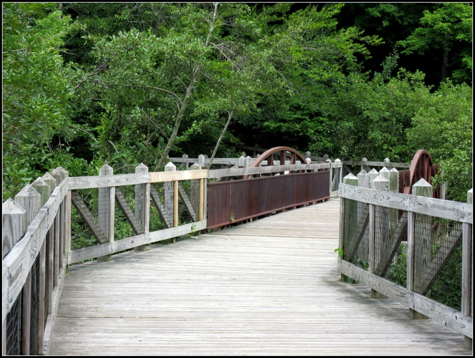 My Little Corner of the World: August 2016