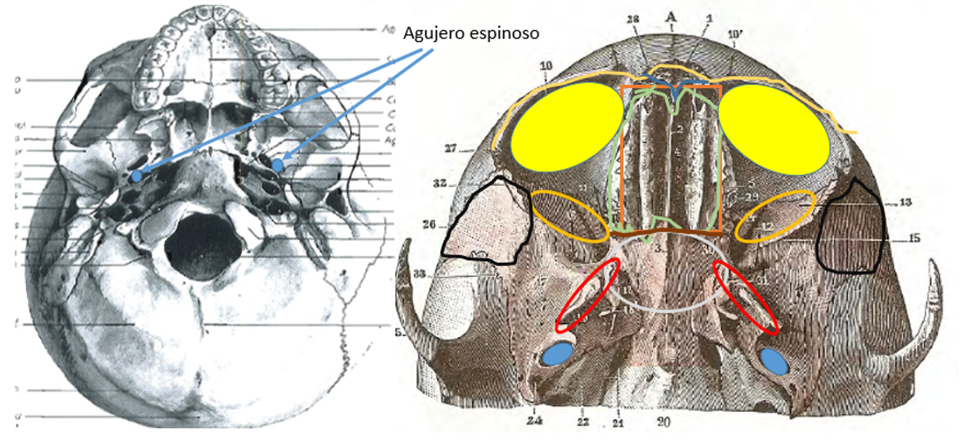 Medicina, un espacio para aprender