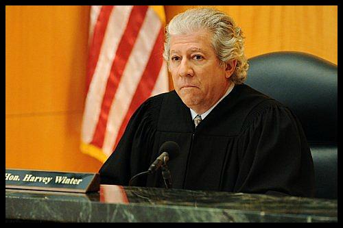 Lockhart Gardner: "Bitcoin for Dummies"