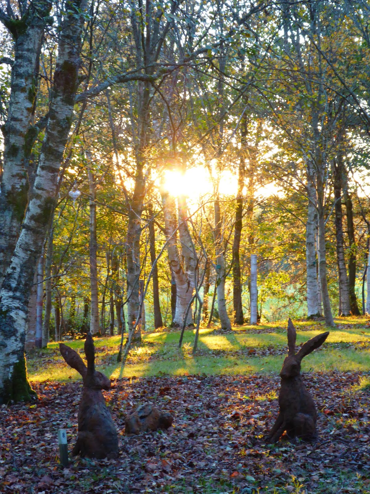 The THREE HARES: October 2018