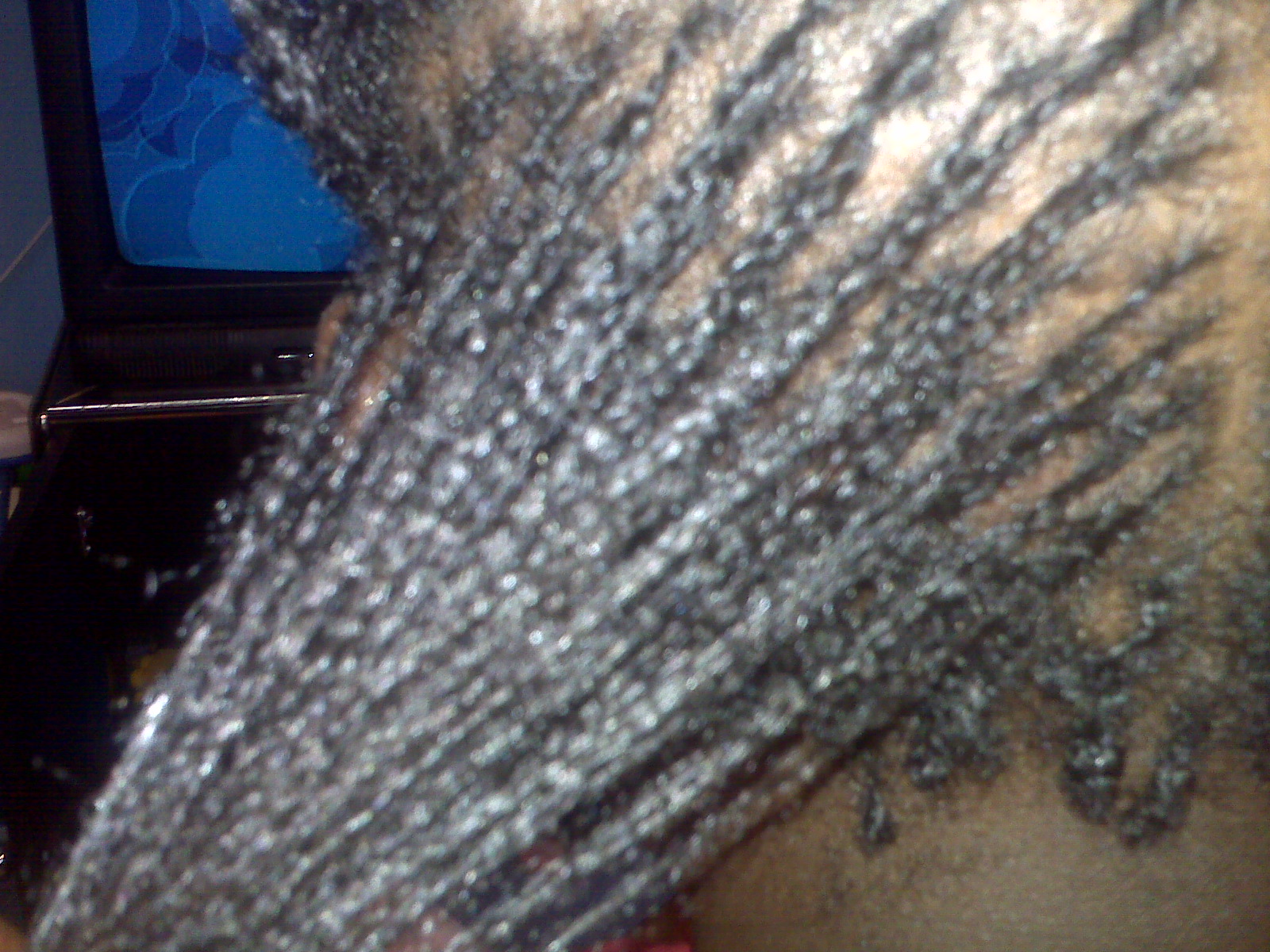 Micro Braid Locs Toronto: Gallery