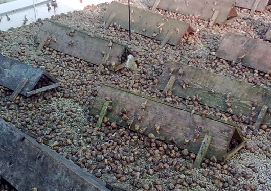 Ais' Blog: September 2016