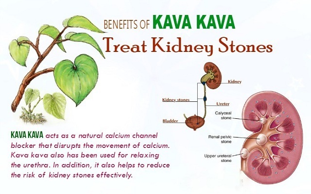 15 Benefits of Health & Beauty Kava Kava - Its Use & Its Side Effects ...
