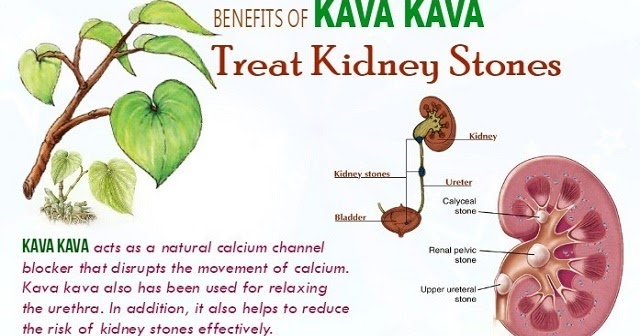 15 Benefits of Health & Beauty Kava Kava - Its Use & Its Side Effects ...