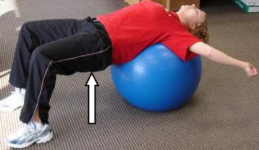 Sternal Positional Exercise Ball Stretch exercises | Every Health