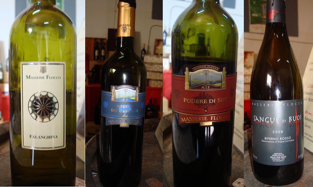 MoliSeb Wine & Food Blog: VISITA AZIENDALE ALLE CANTINE FLOCCO