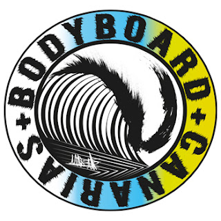 Bodyboarding fins logo stickers / Privilet Design . Privilet Design