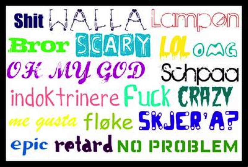 Den norske språkskolen