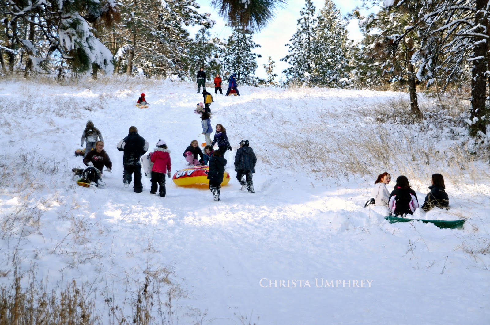 Cohesive Pieces: a perfect day for sledding