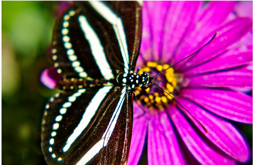 Photography Unit 1: Definition post - Contrast