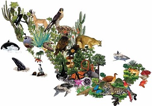 La Uni 2.0: La biodiversidad mexicana en extinción.