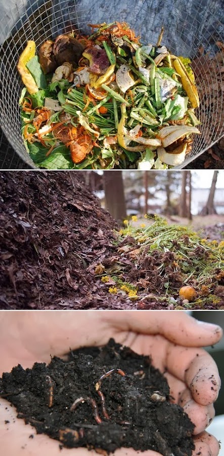 Good Composting Tips