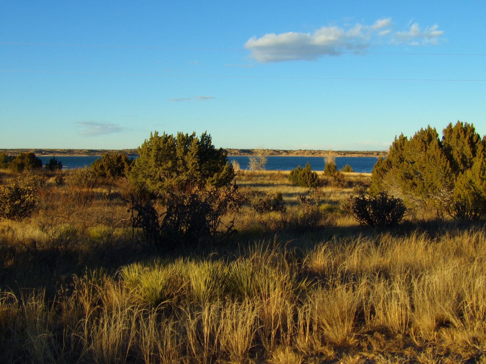 Sumner Lake State Park, Fort Sumner, New Mexico