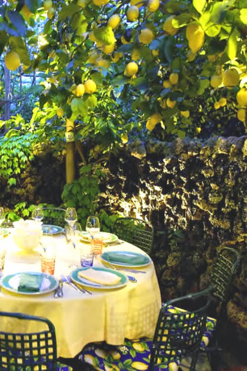 ciao! newport beach: the mystique of a lemon tree