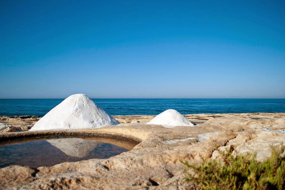 Merill Eco Tours: Récolte de sel de mer avec les membres du groupe BOV ...