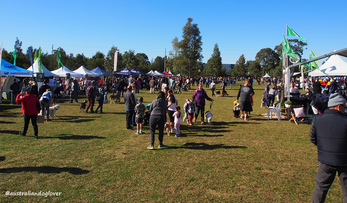 Woof-fest 2017 Festival for Dogs - June 25 | Australian Dog Lover