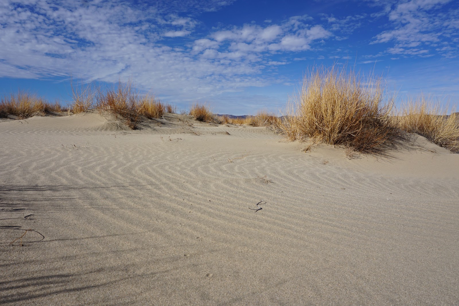 Agile Trekker: Sand Dunes, Turkey Flats, Joshua Tree National Park