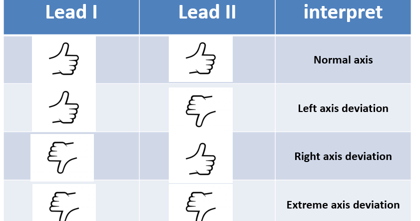 Tutor's Notes: general, cardiovascular, respiratory and renal ...