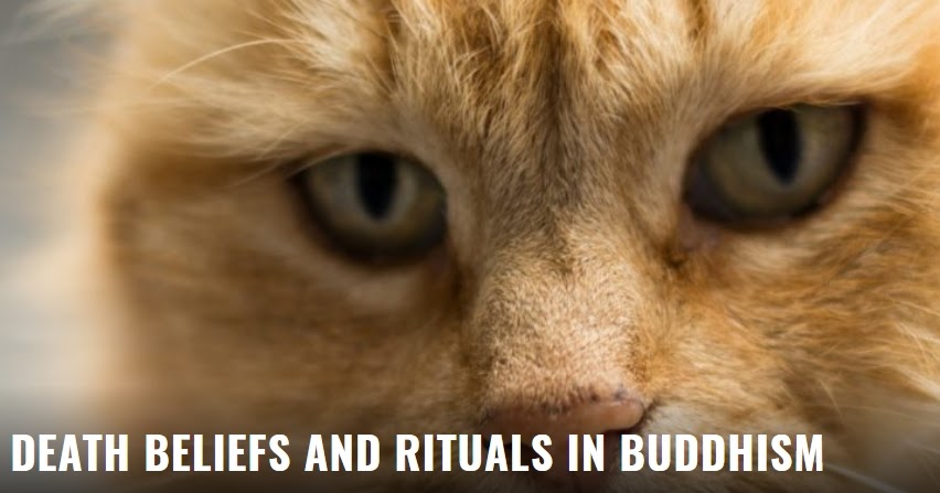 结缘之窗: Animal Death Beliefs and rituals in Buddhism