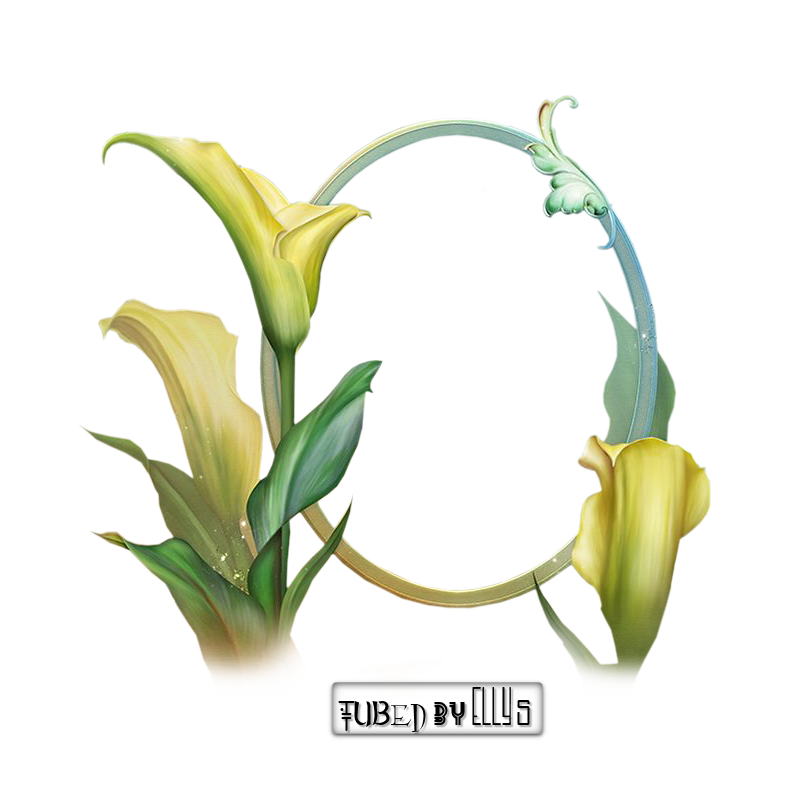 Alles voor en over PSP : TUBES BLOEMEN