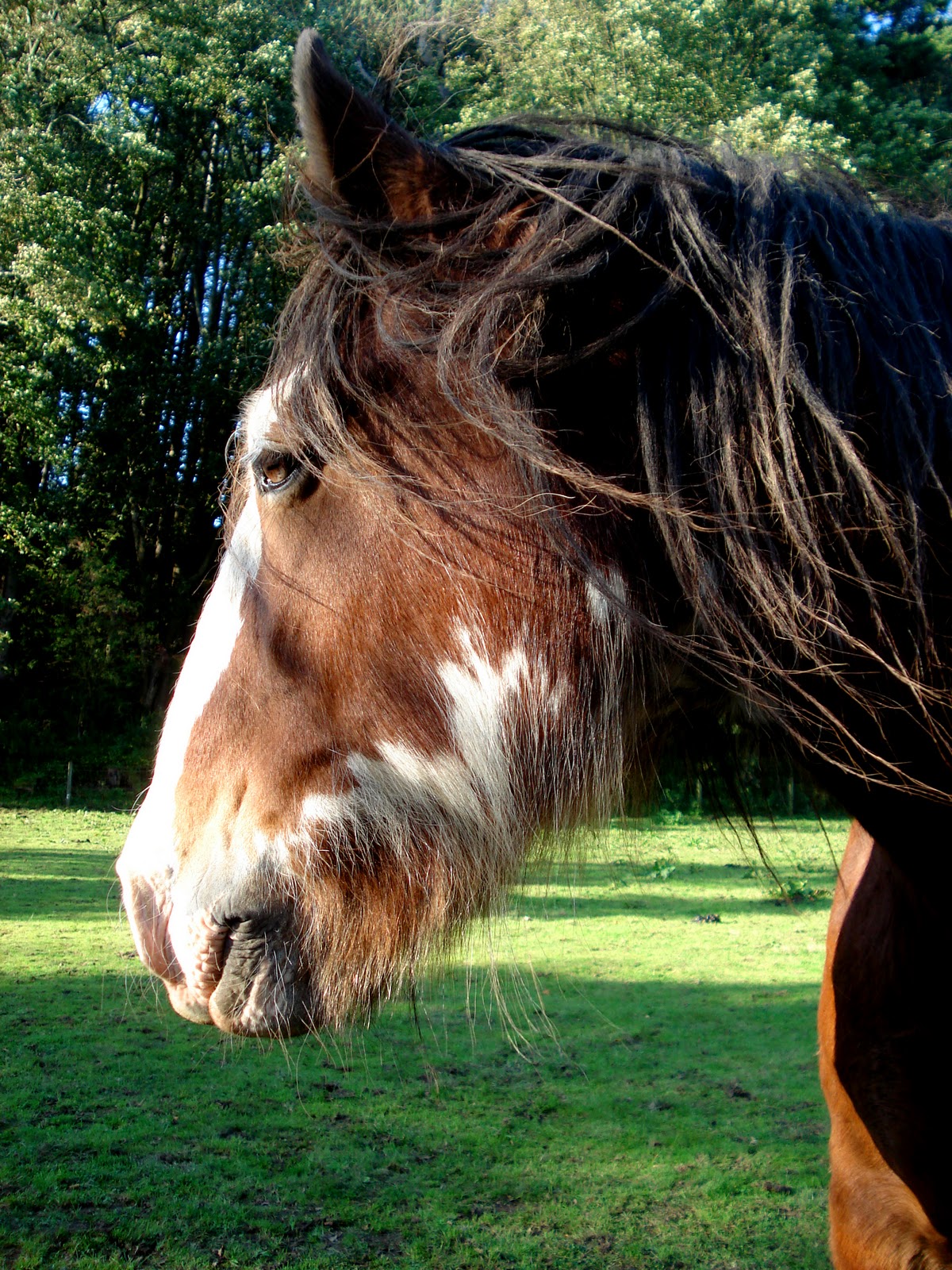 Around Kilmarnock: Dean Castle Country Park