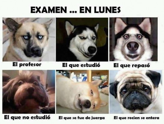 30 MEMES SOBRE EDUCACIÓN