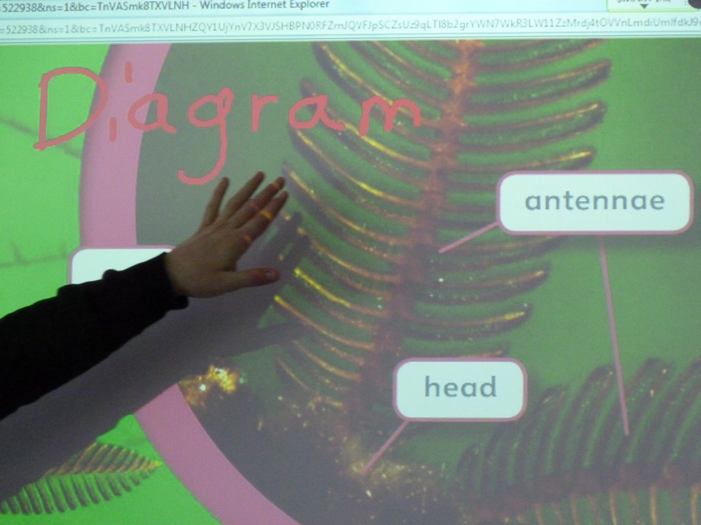 ii-learning : In the classroom