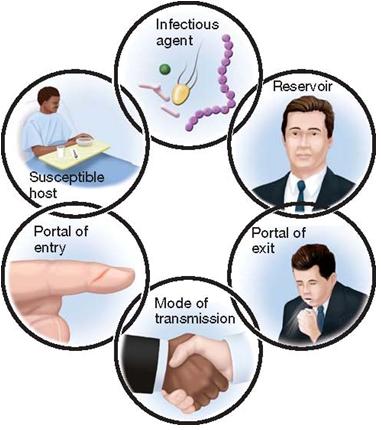 Safety and Infection Control ~ All Information About Phlebotomy