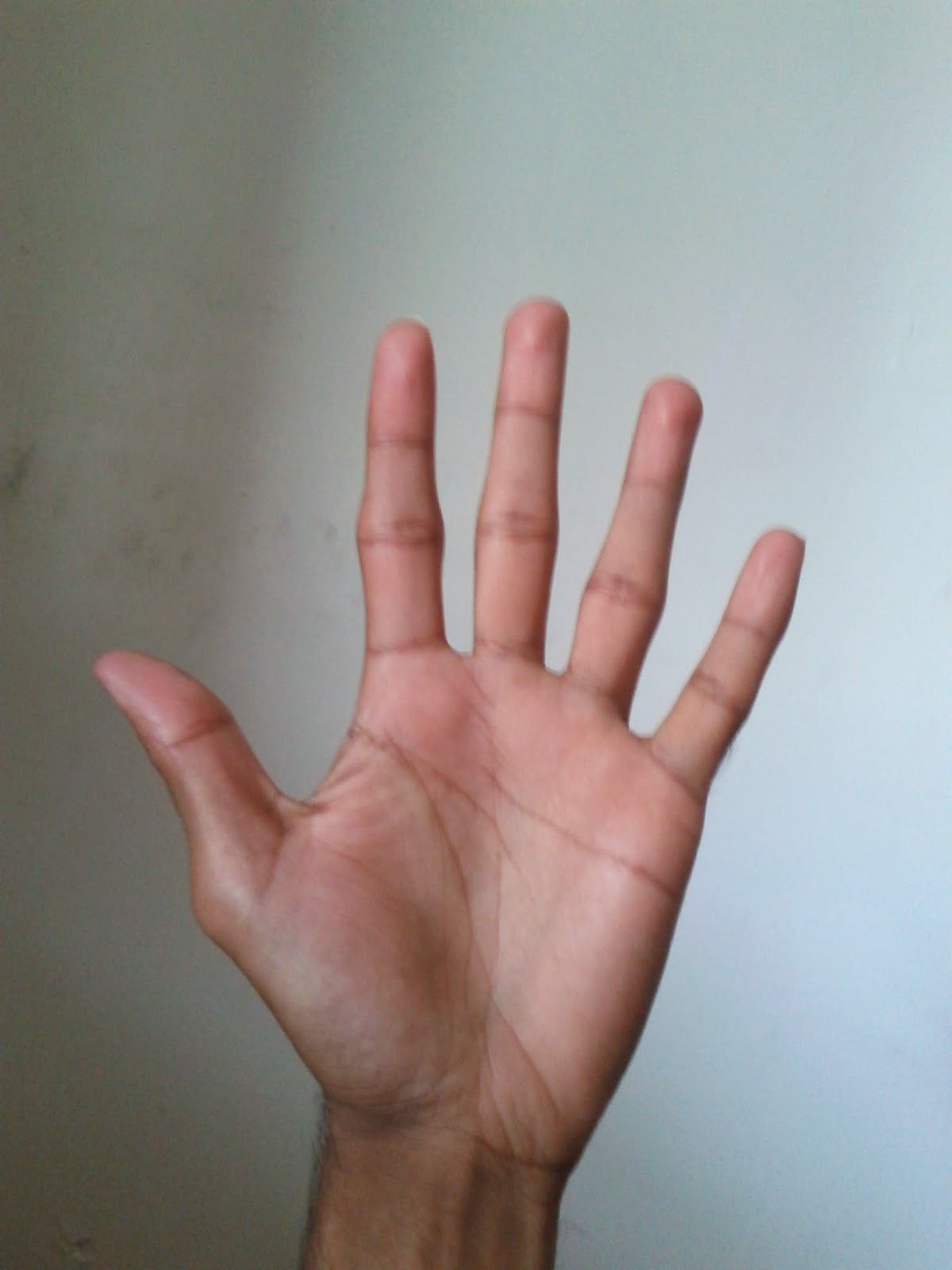 Toronto things: Stock photo: Brown Indian left hand and palm