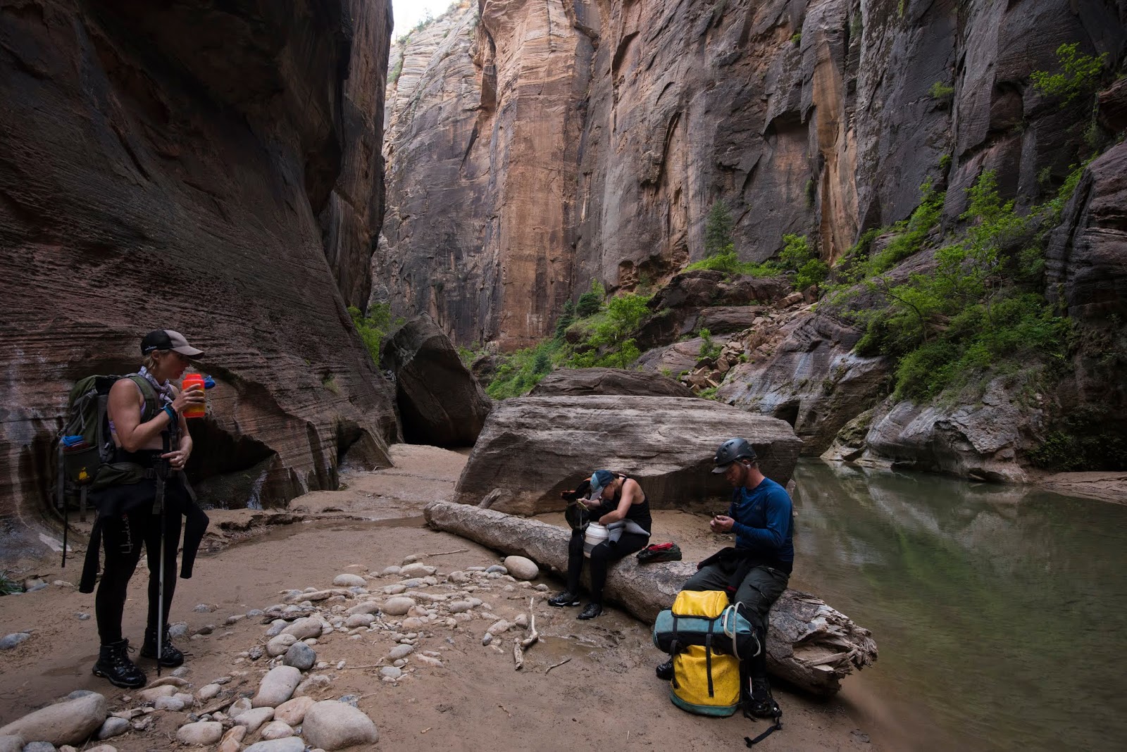 CHECKERBOARD CANYON 3BIV. ZION NATIONAL PARK - ADAM HAYDOCK