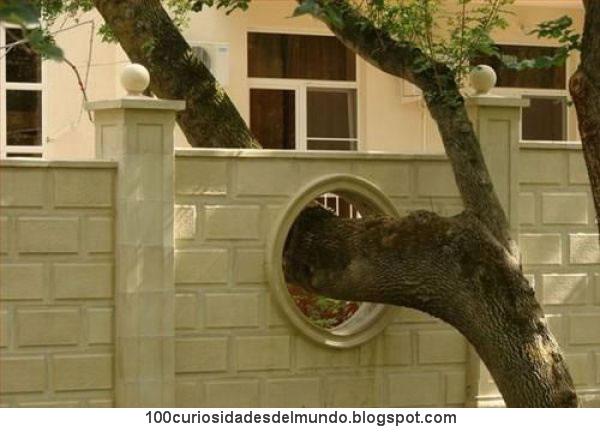 Curiosidades del Mundo: Las 10 fotos e imágenes más curiosas, raras y ...