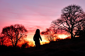 PHOTOGRAPHY: A Seasonal Outdoor Calendar | Treasure Every Moment