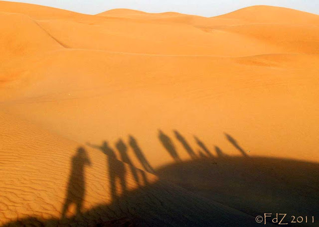 View thru My Global Lens: Desert Shadows