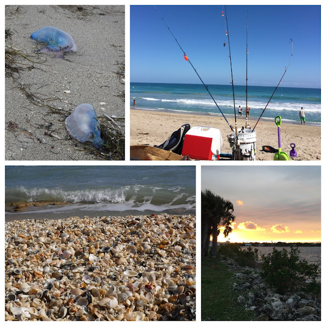 Bonfire Beaches: Fire and Water Firefighter To Oceans