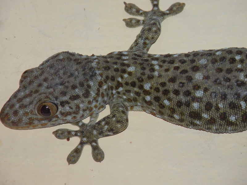 The experiences of my Travel