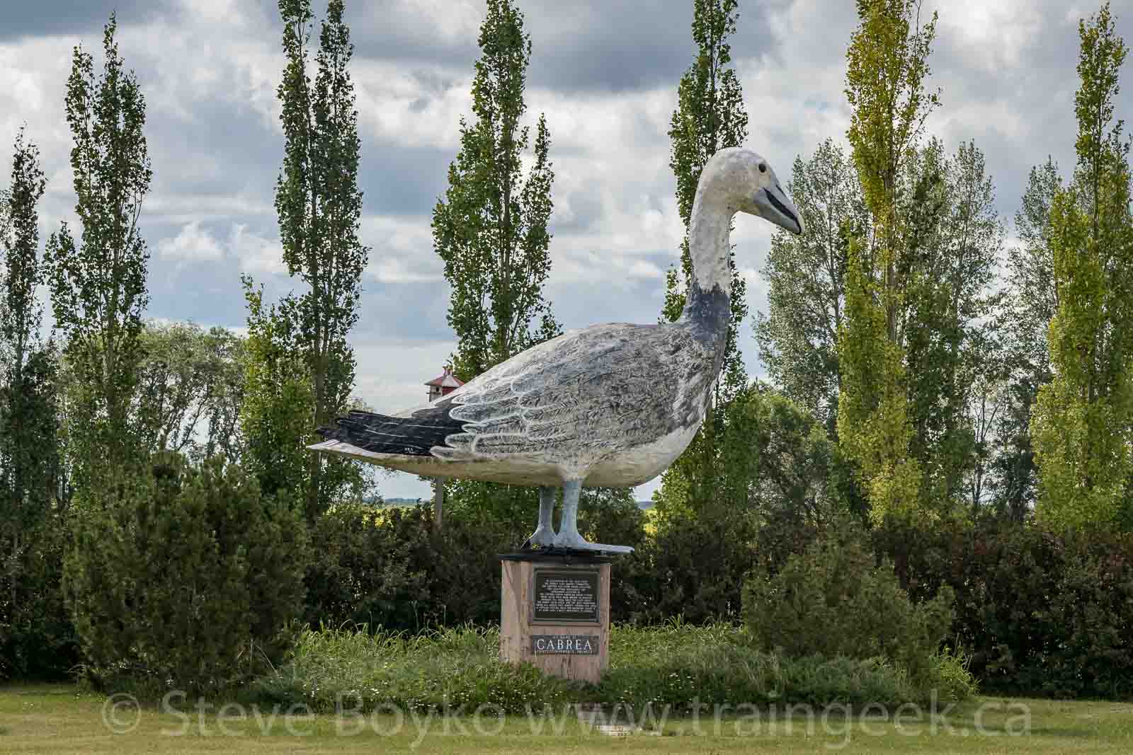 The view from here: Cabrea in Dunrea