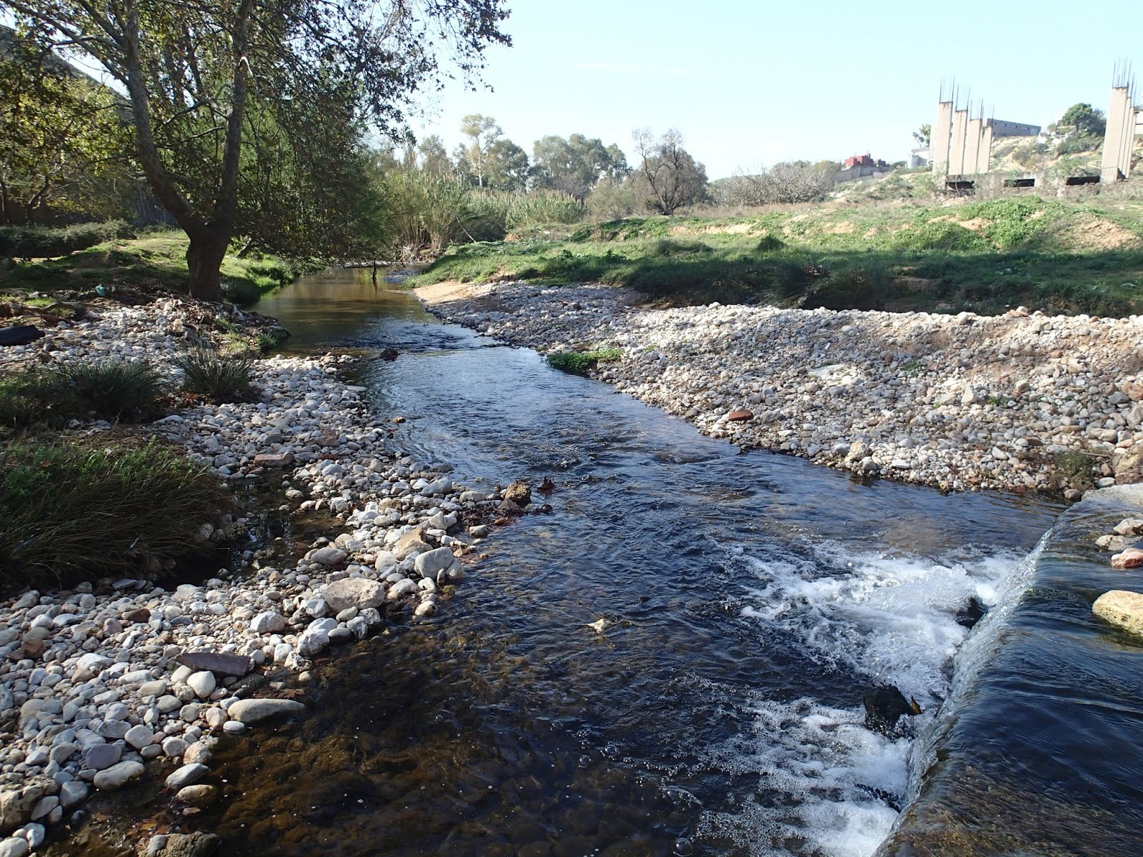 Athens Nature Journal: Upper Kifissos River, Athens: Studying the river ...