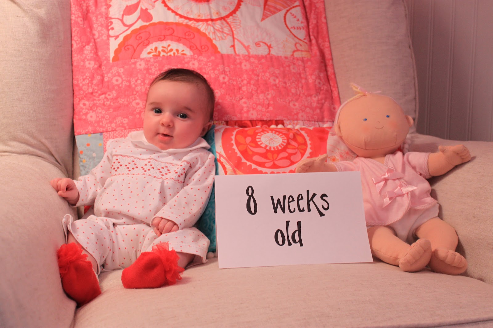 Monkey Business: 8 Week Picture