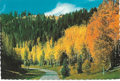 Olive Tree Genealogy Blog: Ephemera Richter Family in North Carolina